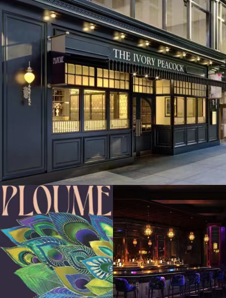 UpMarket: Alternative Investments Curated for Accredited Investors