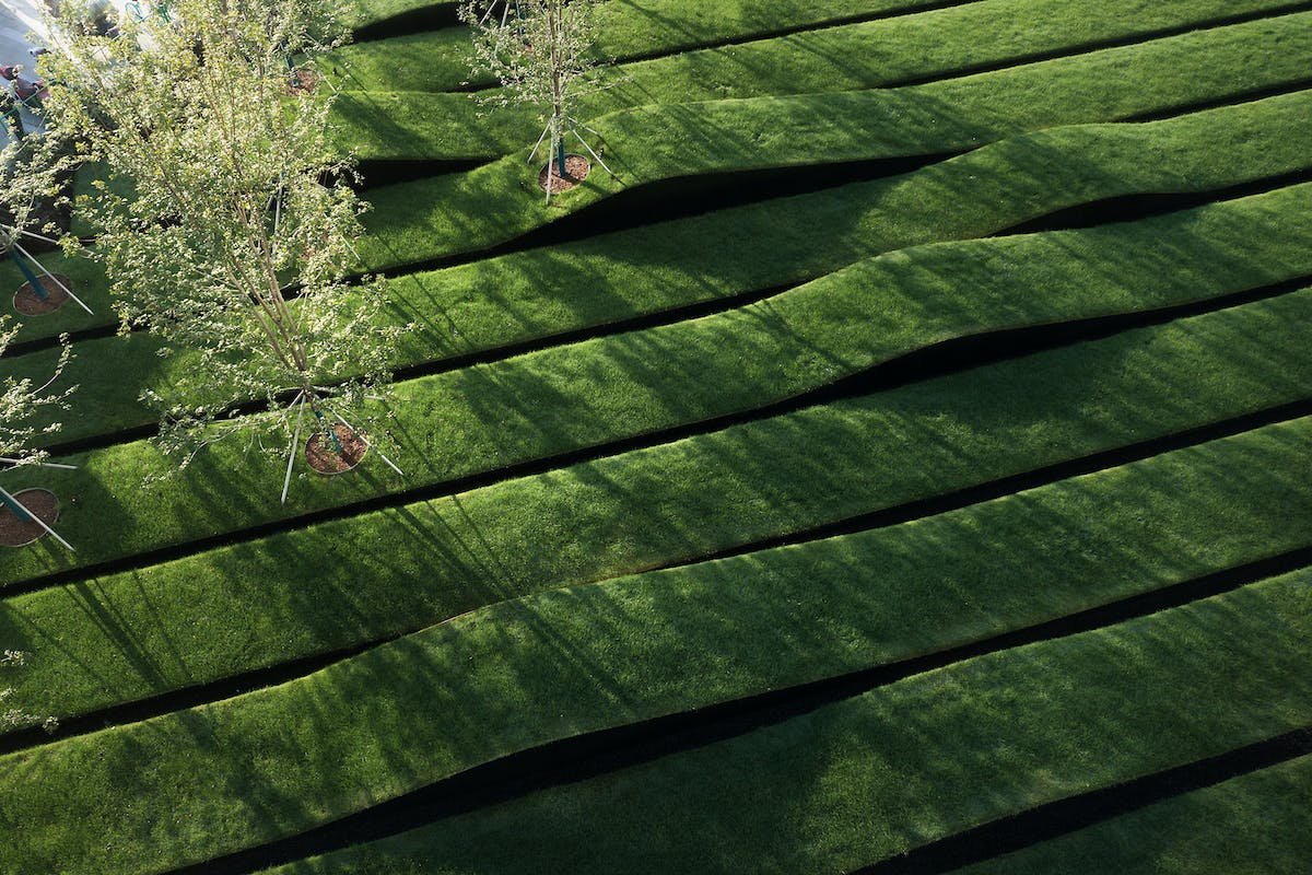 Buy Rippling stock and other Pre-IPO shares on UpMarket